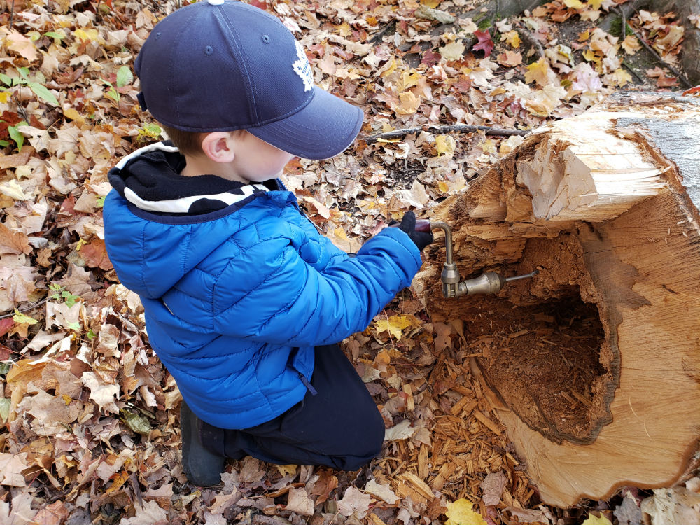 The Children Get Out in the Forest to Use Tools! - Discovery Child Care
